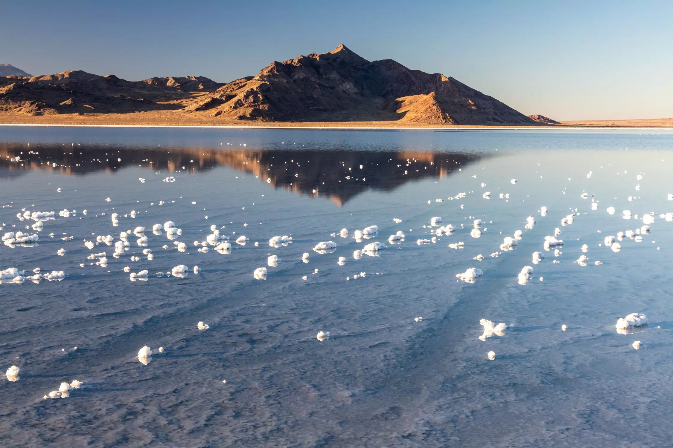 garam bonneville