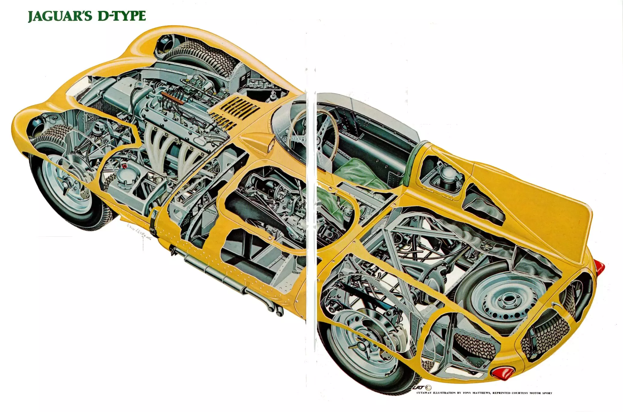 jaguar d ປະເພດກາຟິກ cutaway