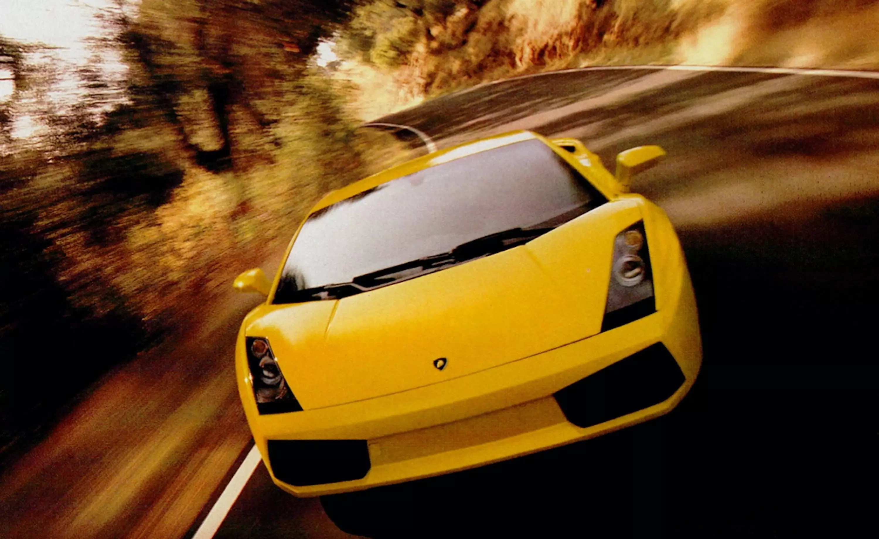 Lamborghini Gallardo — справжній бійцівський бик