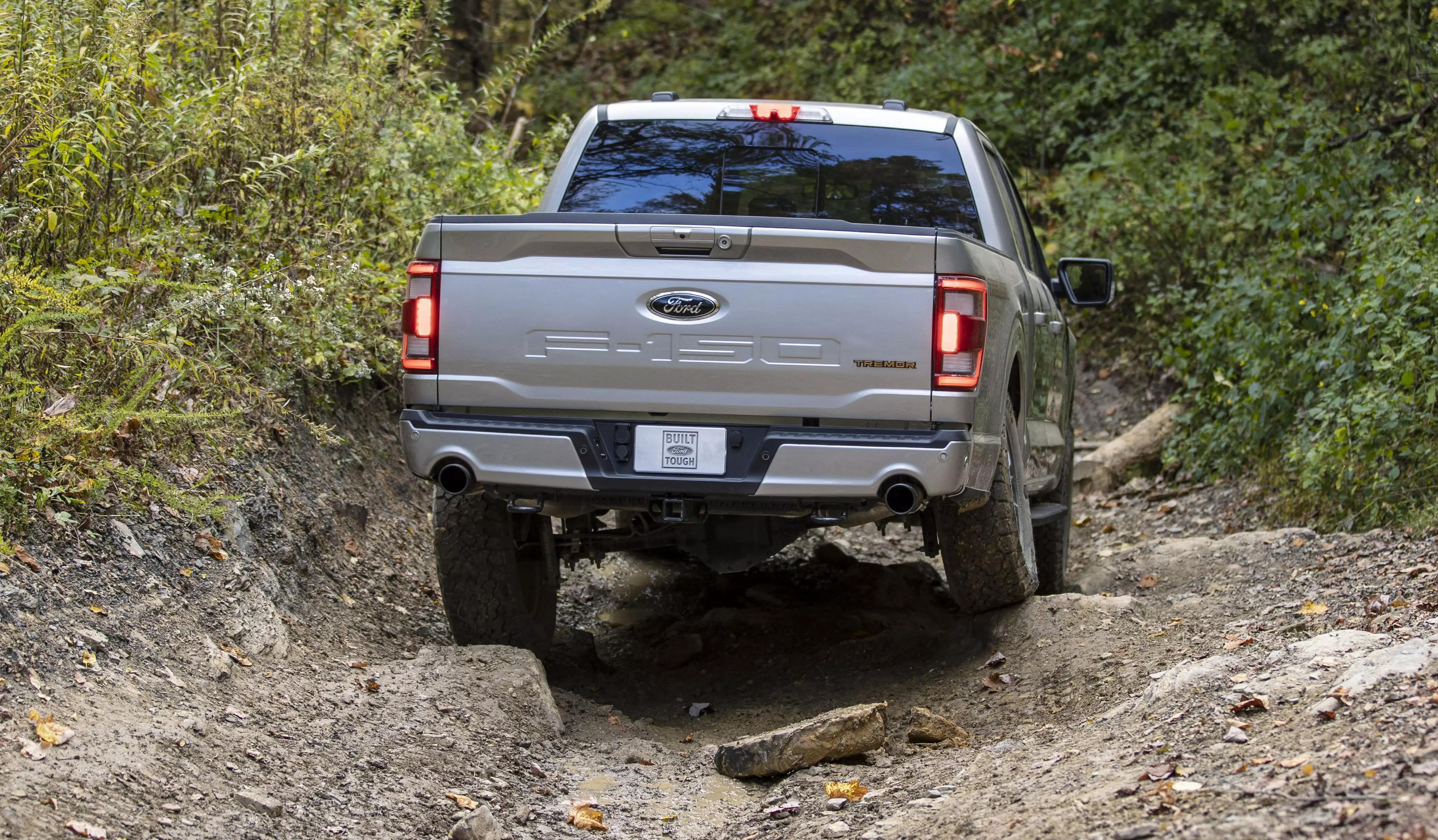 2021 ford f 150 drebulys