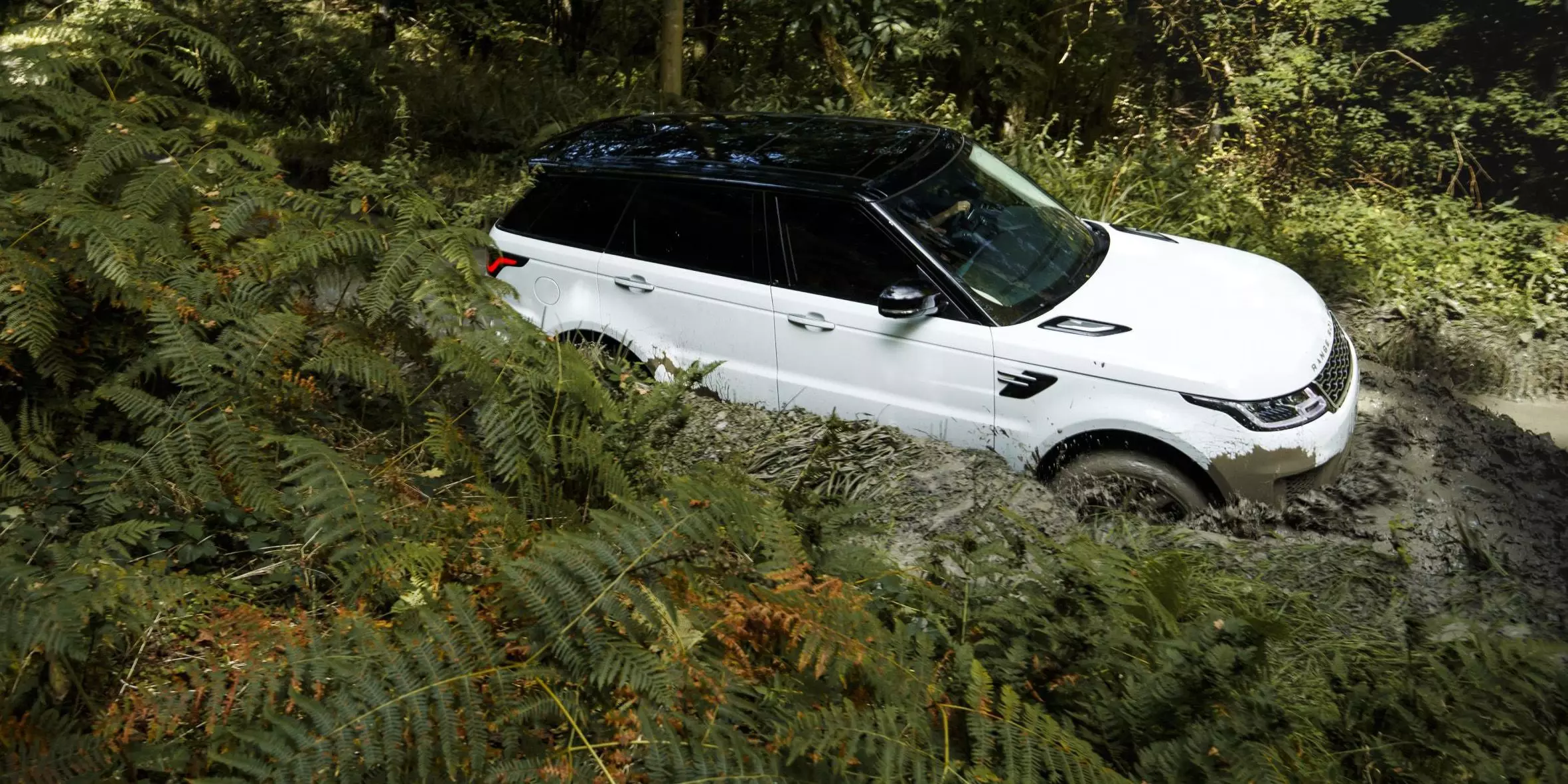 Gari la ardhini, Gari, Gari, mkutano wa kawaida, Off-roading, Range rover, gari la matumizi ya michezo, Range rover evoque, Gari la Off-road, gari la kifahari,