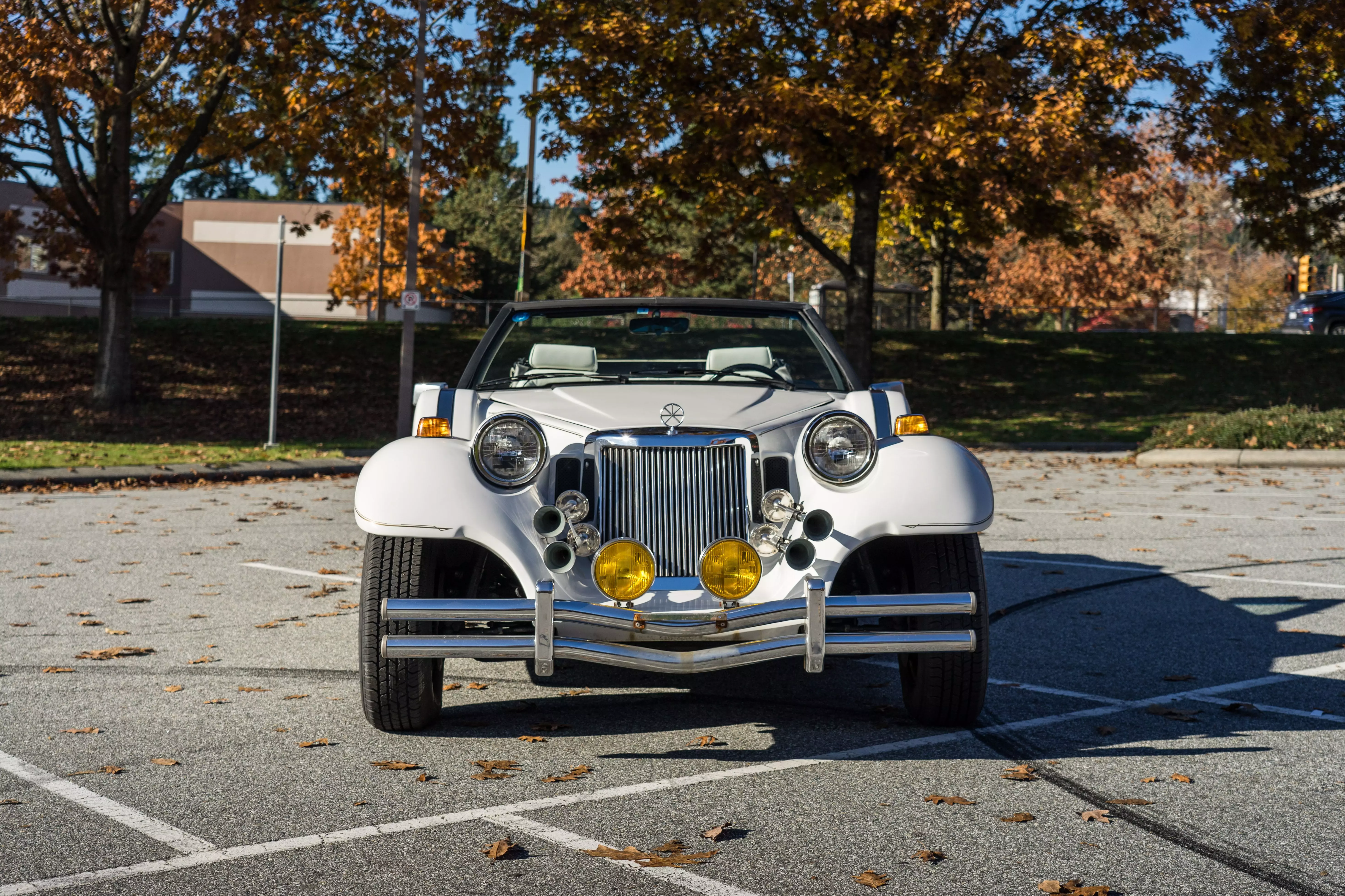 1991 m. mitsuoka le seyde dore