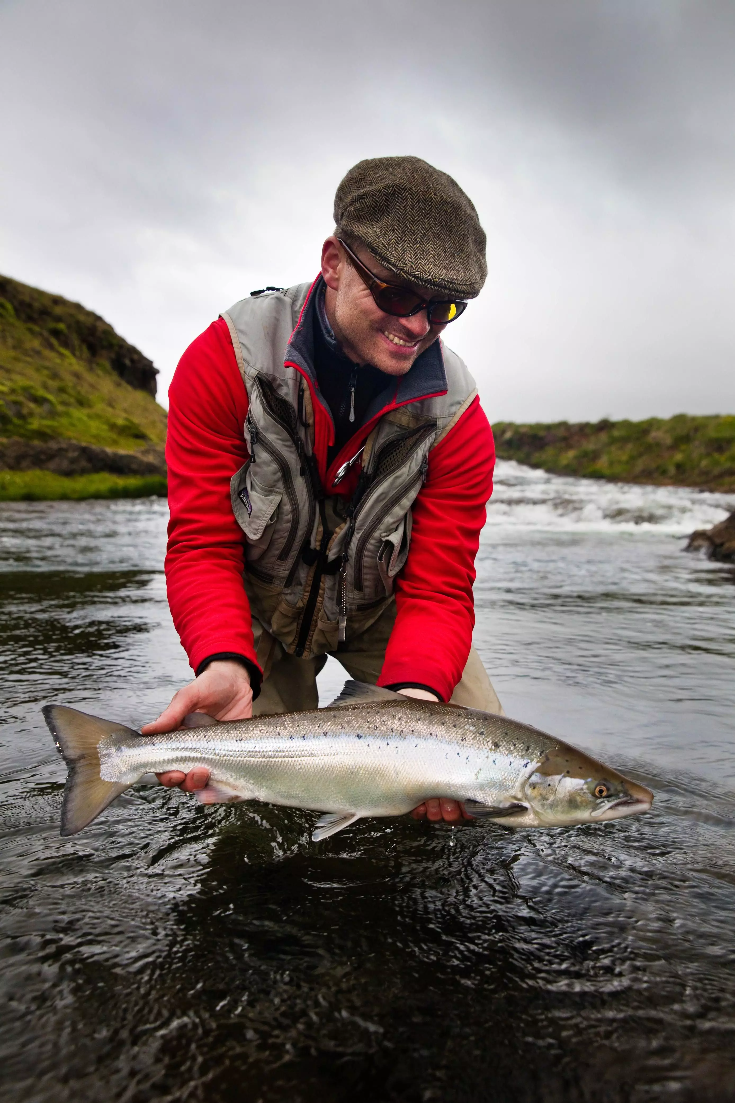 Motho, Cap, Vertebrate, Fish, Sunglasses, Marine biology, Beanie, Seafood, Fin, Fish,