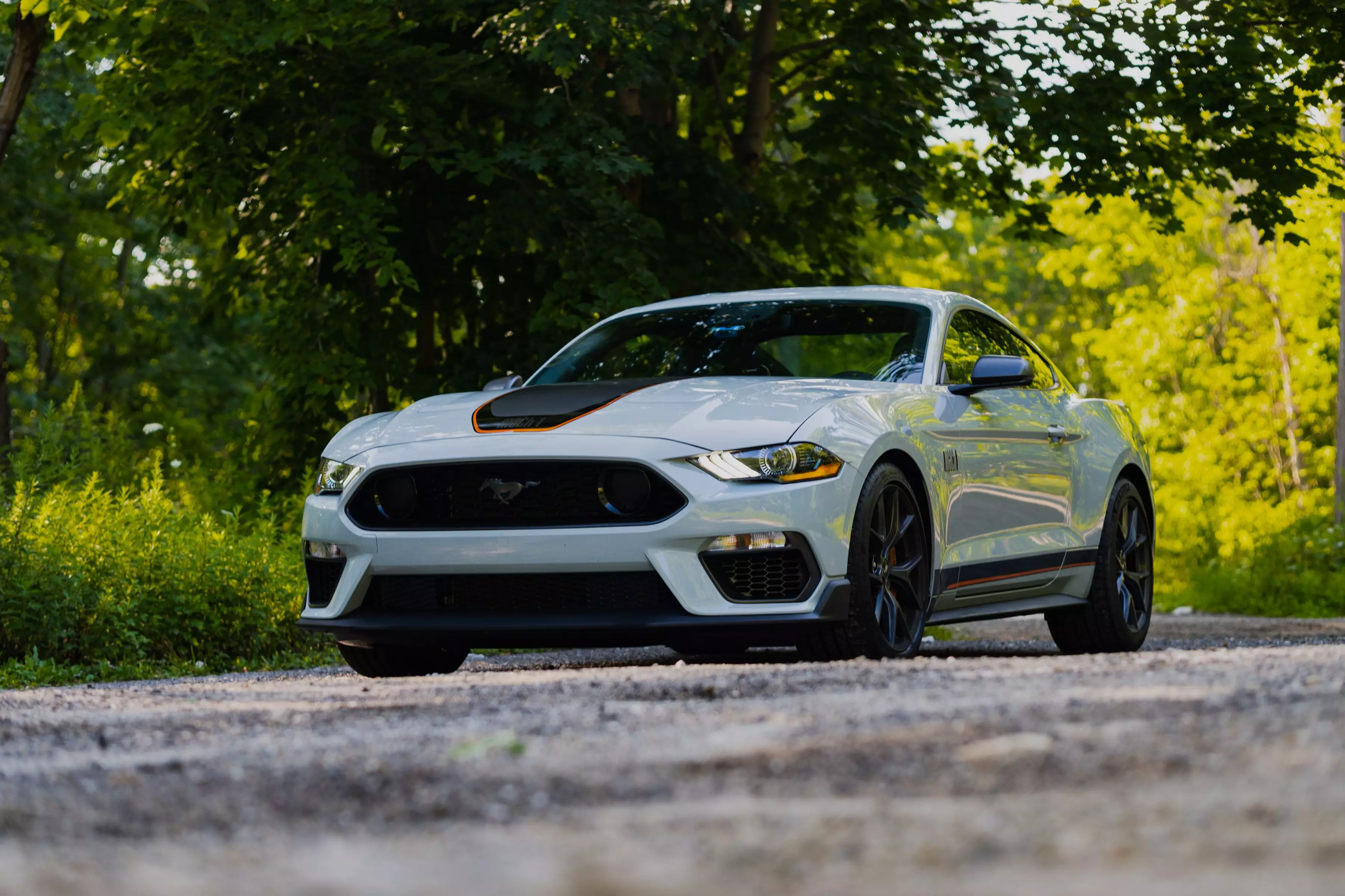 Pregled ford mustang mach 1 2022