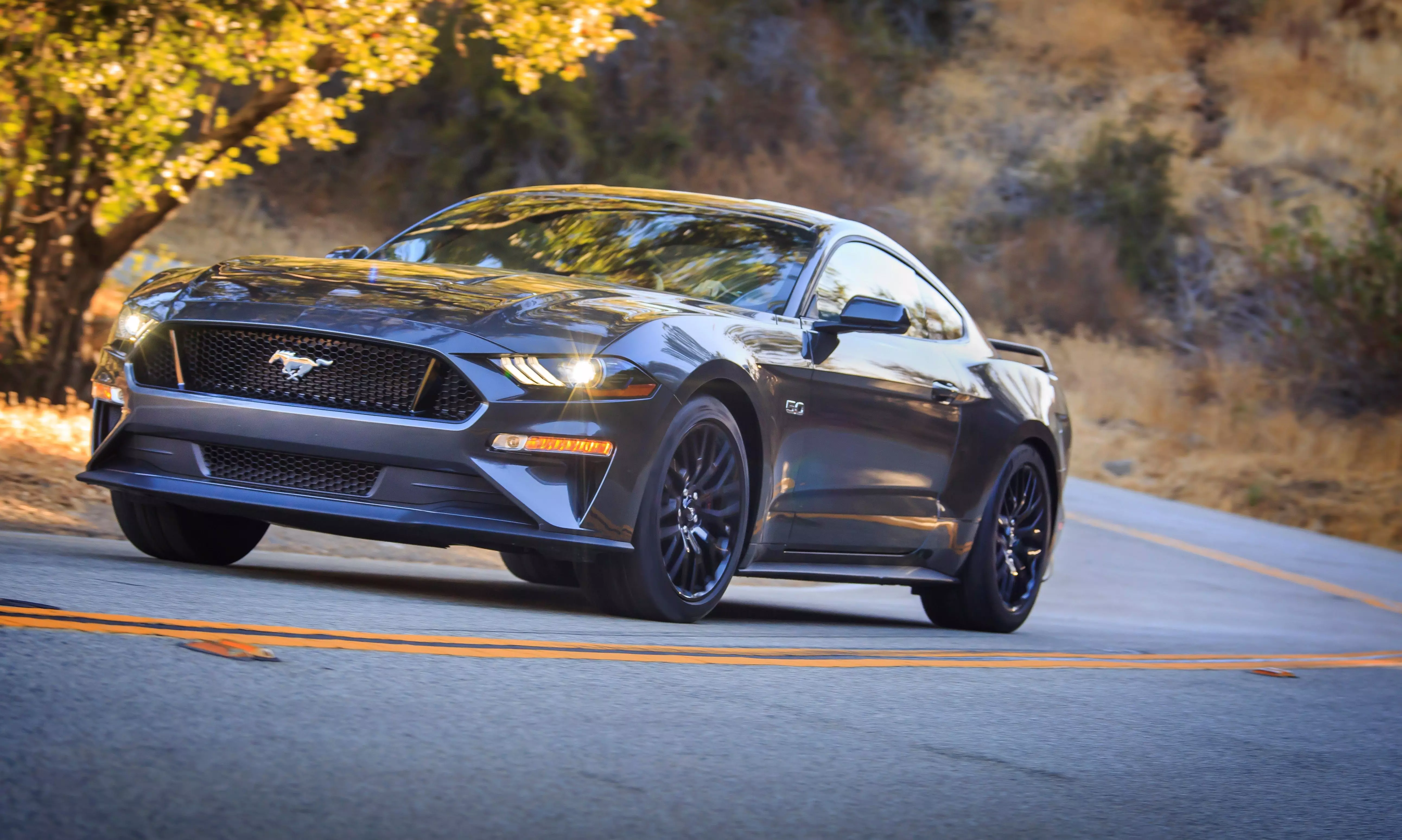 2018 m. ford mustang gt