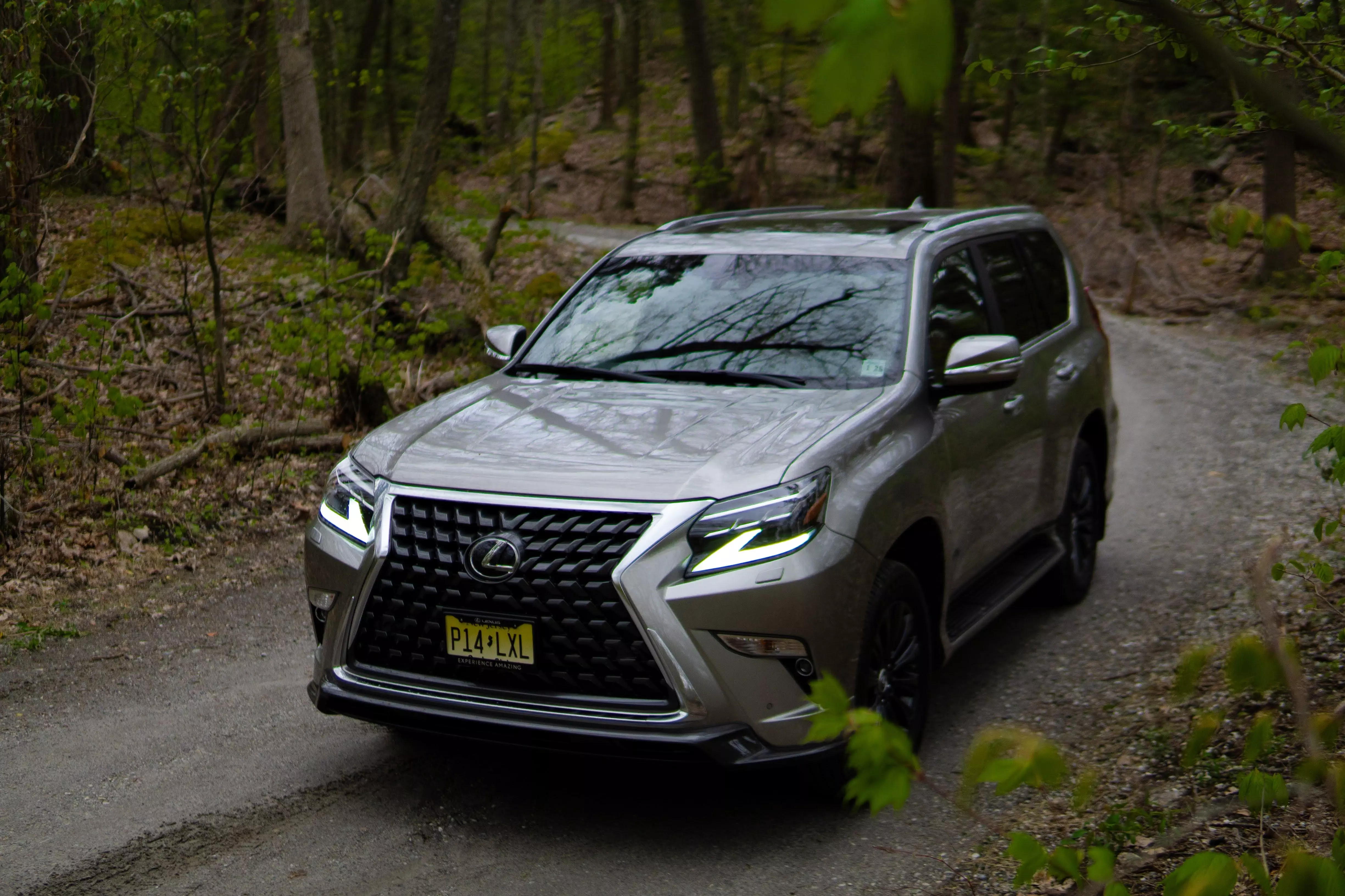 2020 lexus gx460