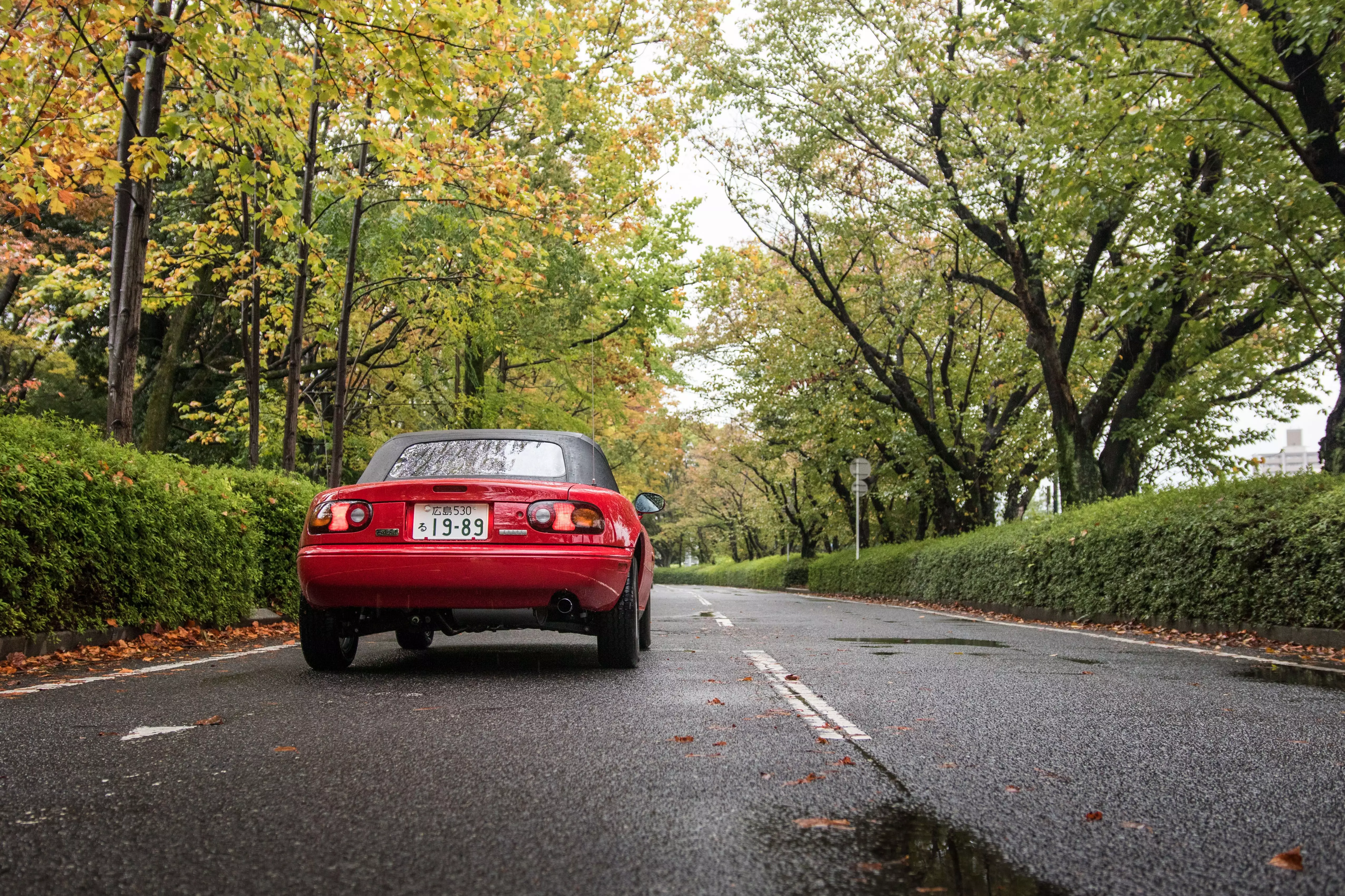 Lânauto, Auto, Auto, Beam, Ferfiermodus, Asfalt, Leaf, Woody plant, Road, Lane,