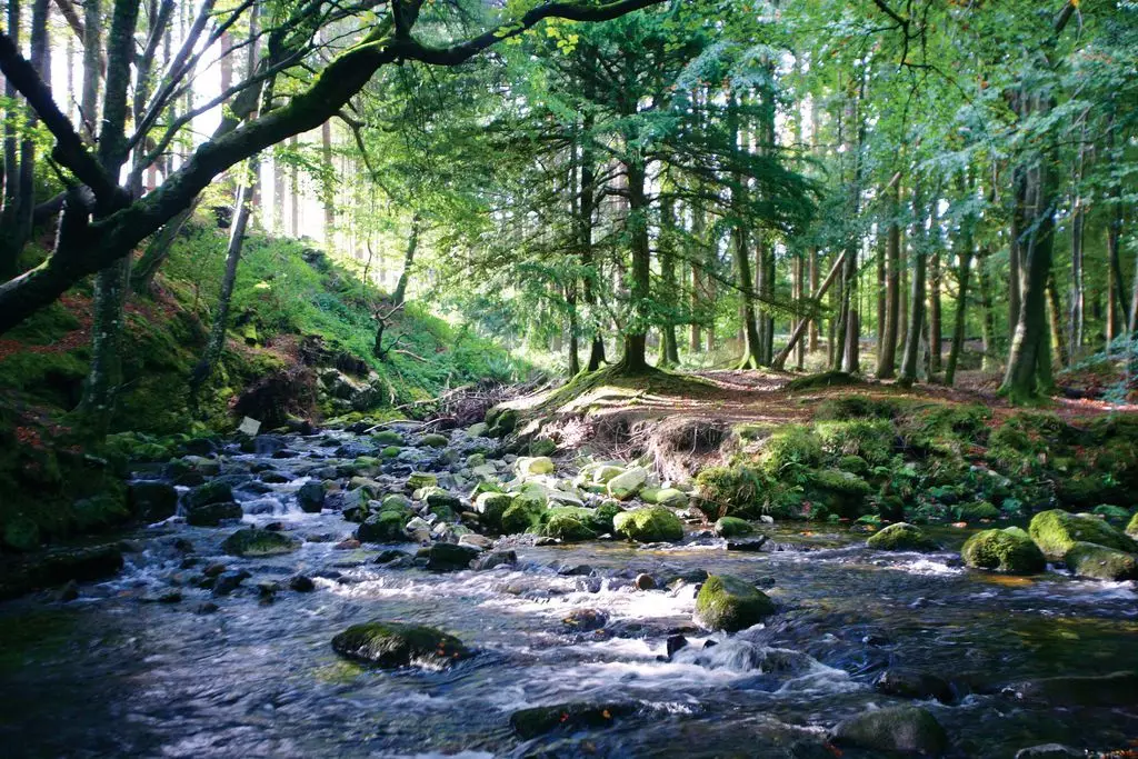 Natural nga talan-awon, Lawas sa tubig, Kinaiyahan, Sapa, Riparian zone, Agos sa tubig, Nature reserve, Natural nga palibot, Mga kahinguhaan sa tubig, Katanoman,