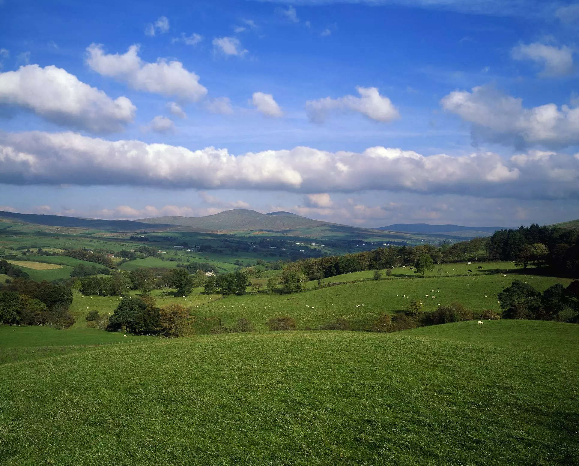 Grassland, Natural nga talan-awon, Berde, Kalangitan, Bungtod, Highland, Kinaiyahan, Bukiron nga yuta, Panganod, Pasture,