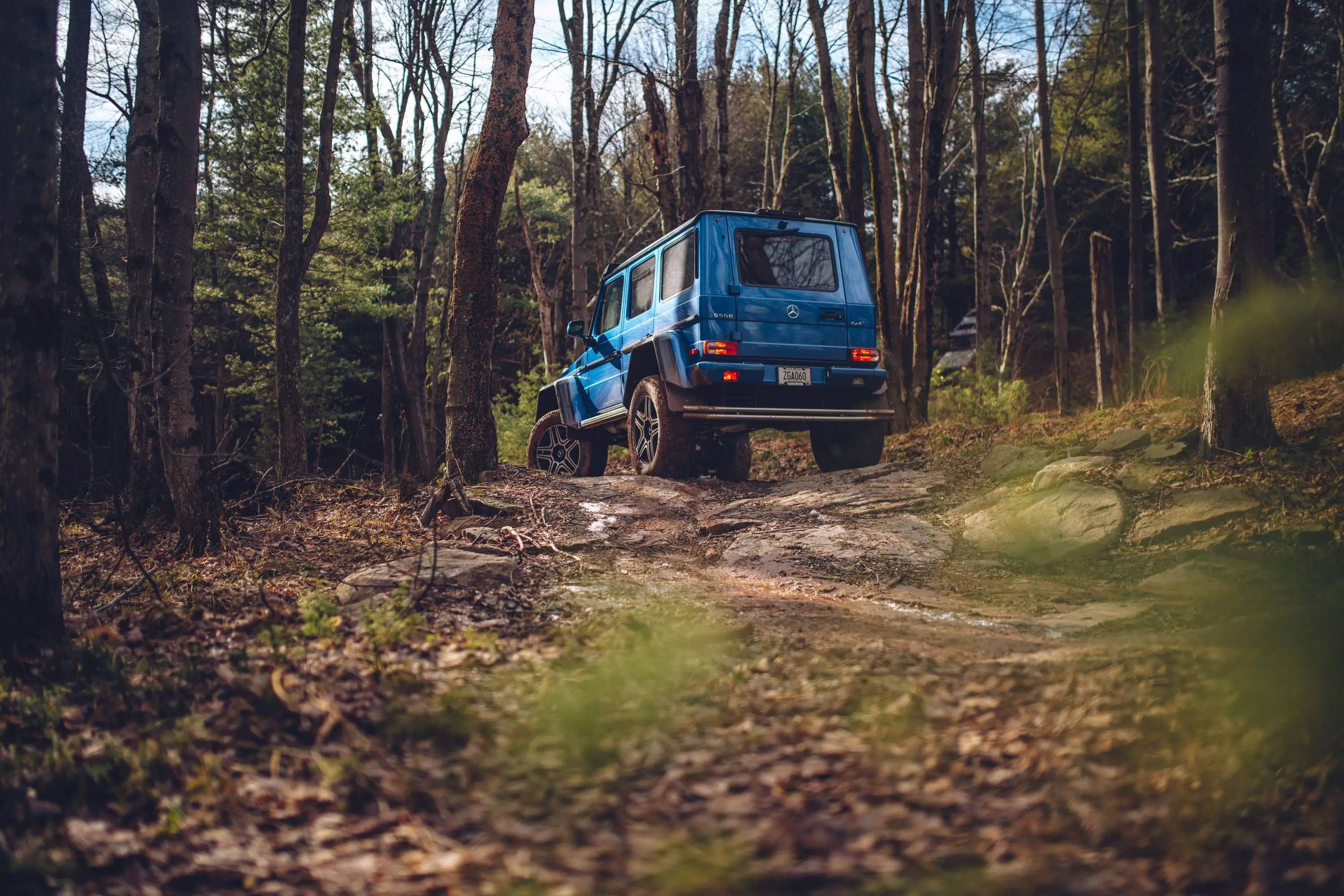 Off-roading, Bosk, Vehicle, Natuerlike omjouwing, Woodland, Off-road vehicle, Tree, Auto, Wilderness, Automotive tire,