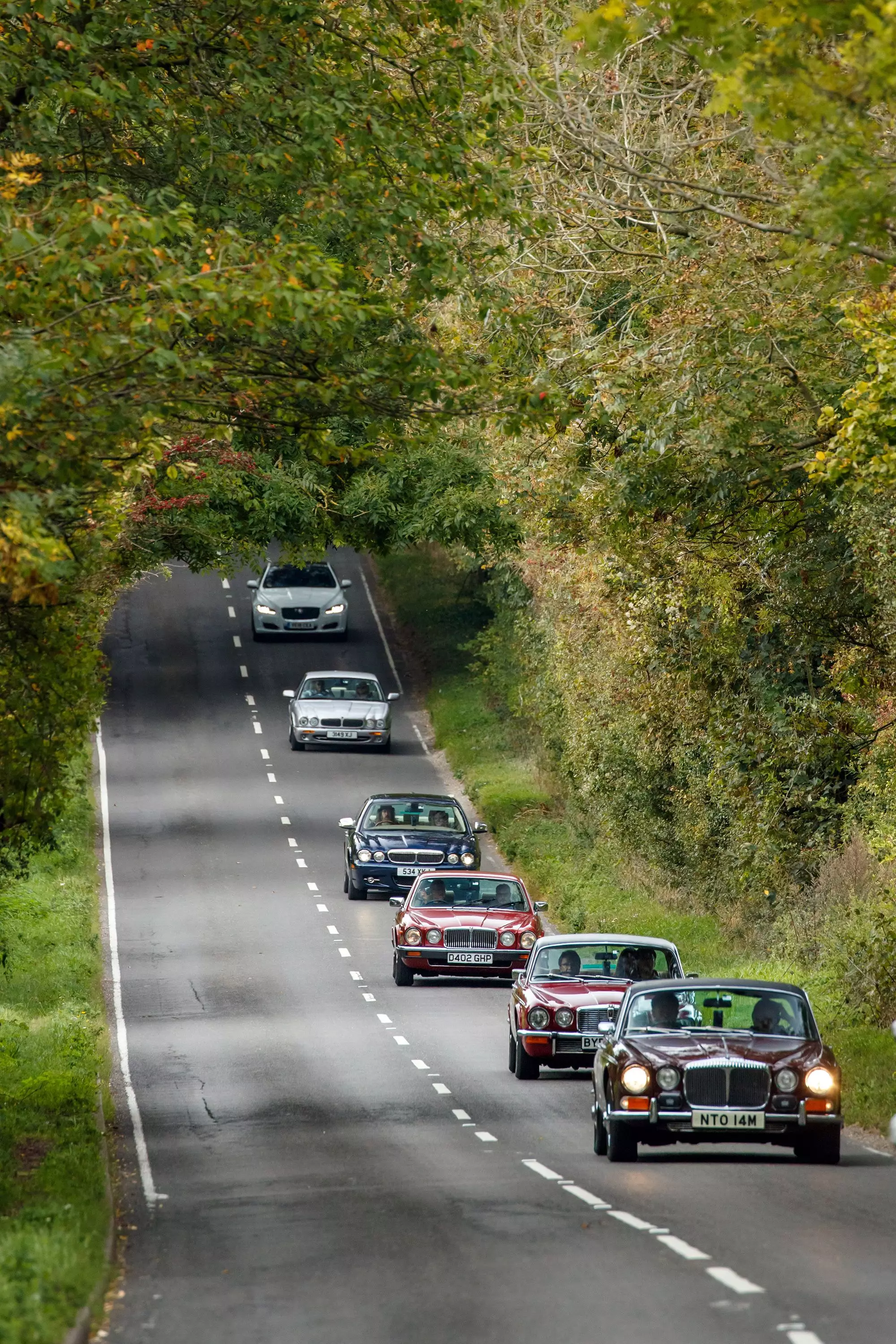 Kendaraan Darat, Kendaraan, Kendaraan Bermotor, Mobil, Rally Regularity, Jalan, Toroughfare, Lane, Aspal, Rallying,