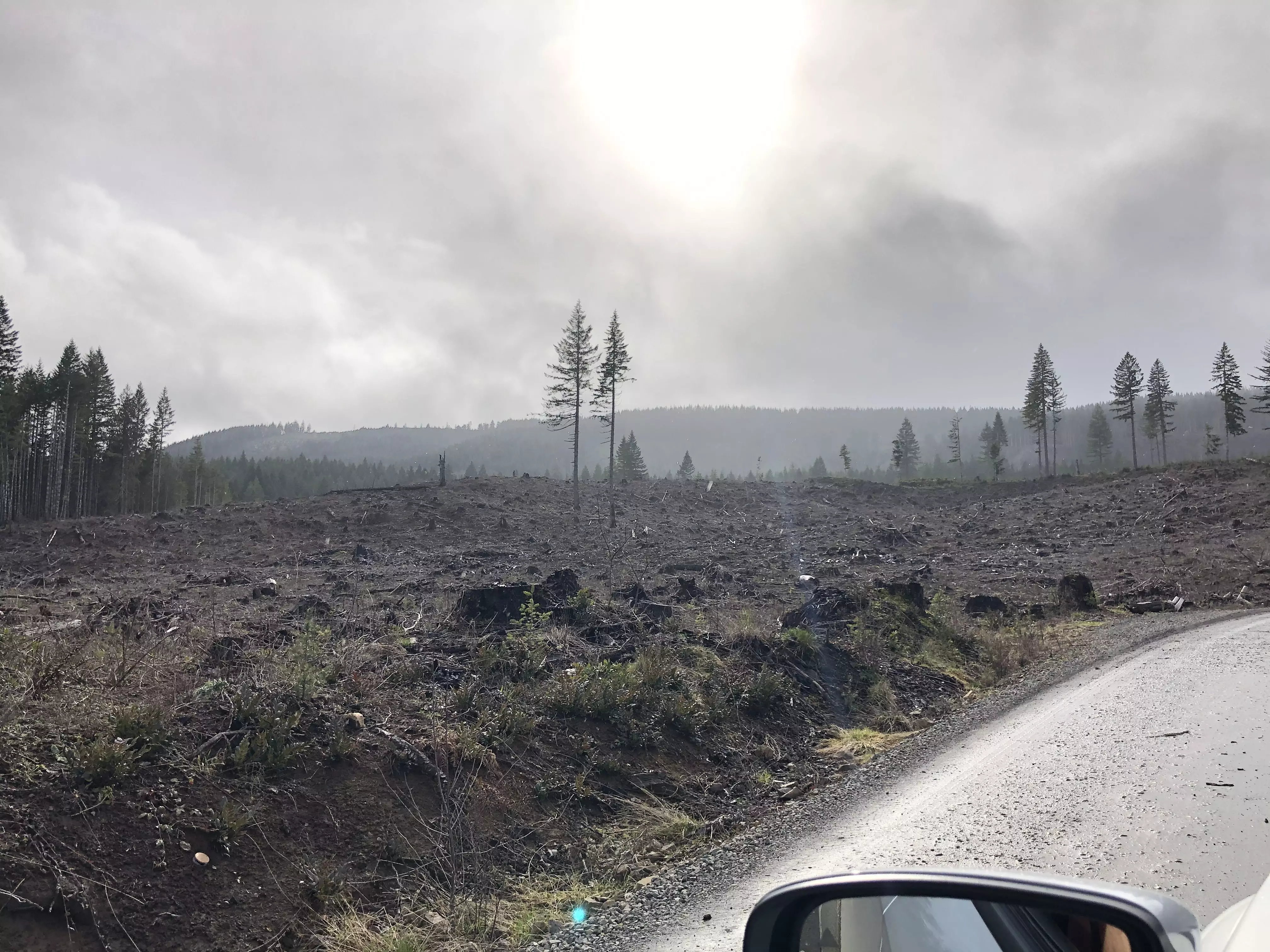 atmosferos reiškinys,dangus,kelias,medis,geologinis reiškinys,transporto rūšis,transporto priemonė,debesis,infrastruktūra,kalnų stotis,