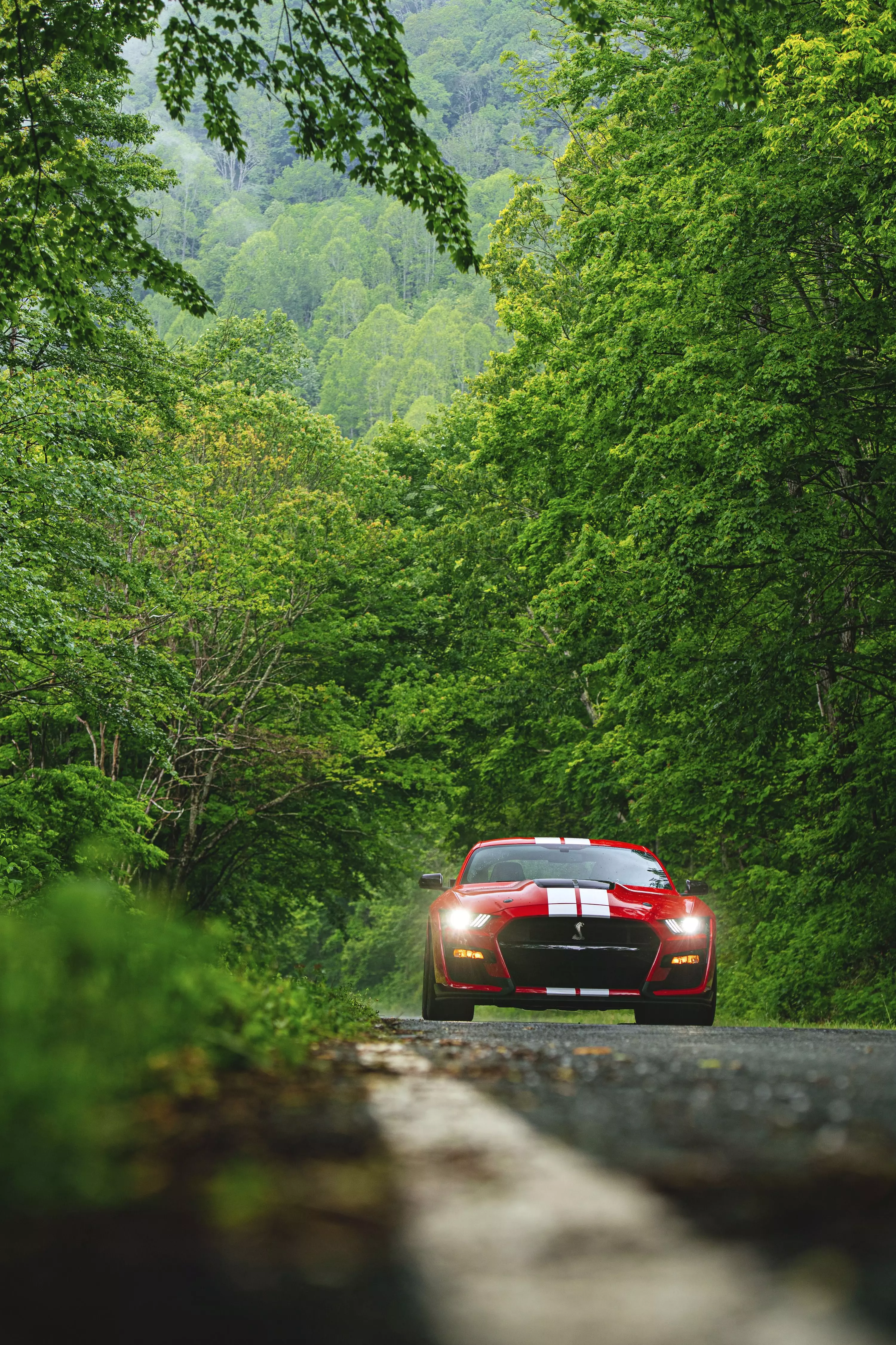 2020 ford mustang shelby gt500