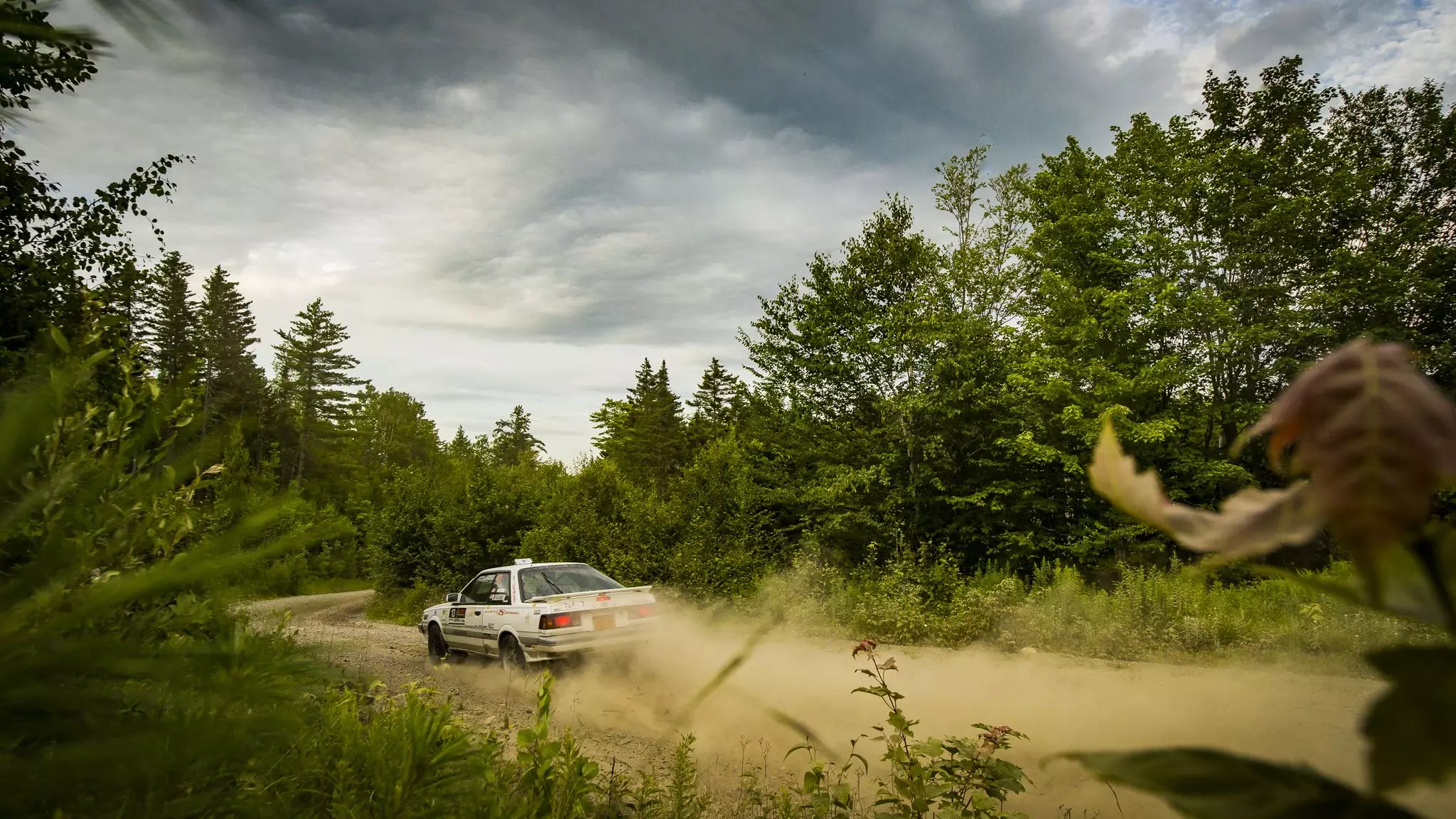 Natura, Munduko Rally Txapelketa, Lurrezko errepidea, Rallya, Ibilgailua, Ingurune naturala, Kotxea, Zuhaitza, Errepidea, Lasterketak,