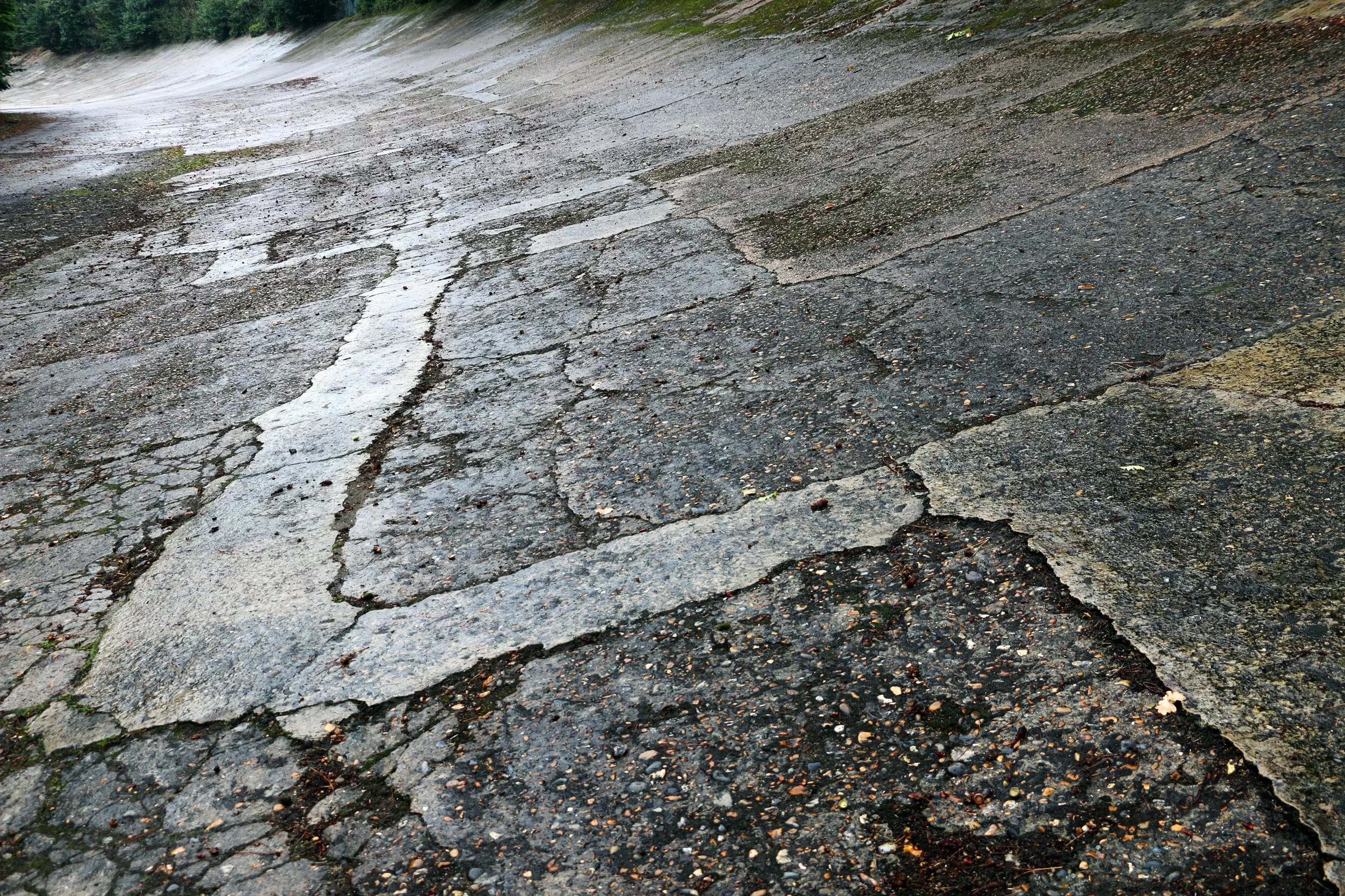 Superfície de la carretera, arbre, roca, asfalt, sòl, geologia, fulla, carretera, fusta, planta,