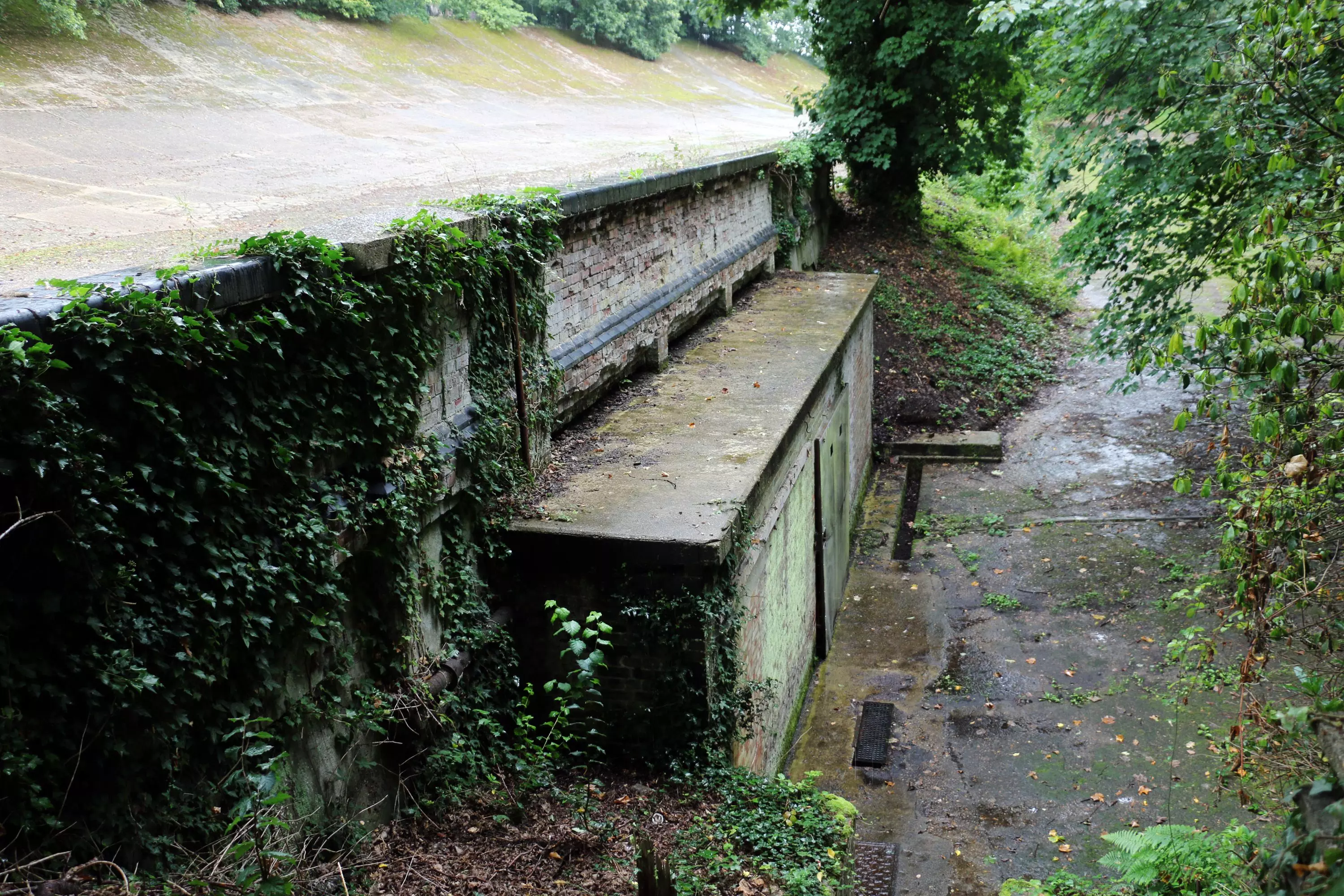 Via fluvial, Reserva natural, canal, arbre, curs d'aigua, herba, pont, pont geperut, passarel·la, zona rural,